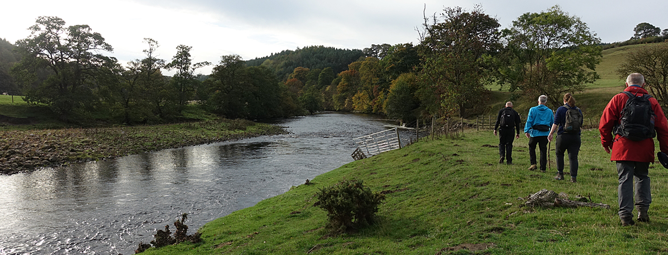 Circular walk from Masham, venturing to Hackfall Wood, Grewelthorpe ...