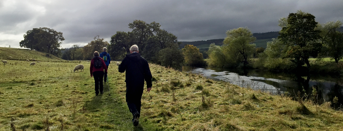 Circular walk from Leyburn to Cover Bridge on to Middleham and back all ...